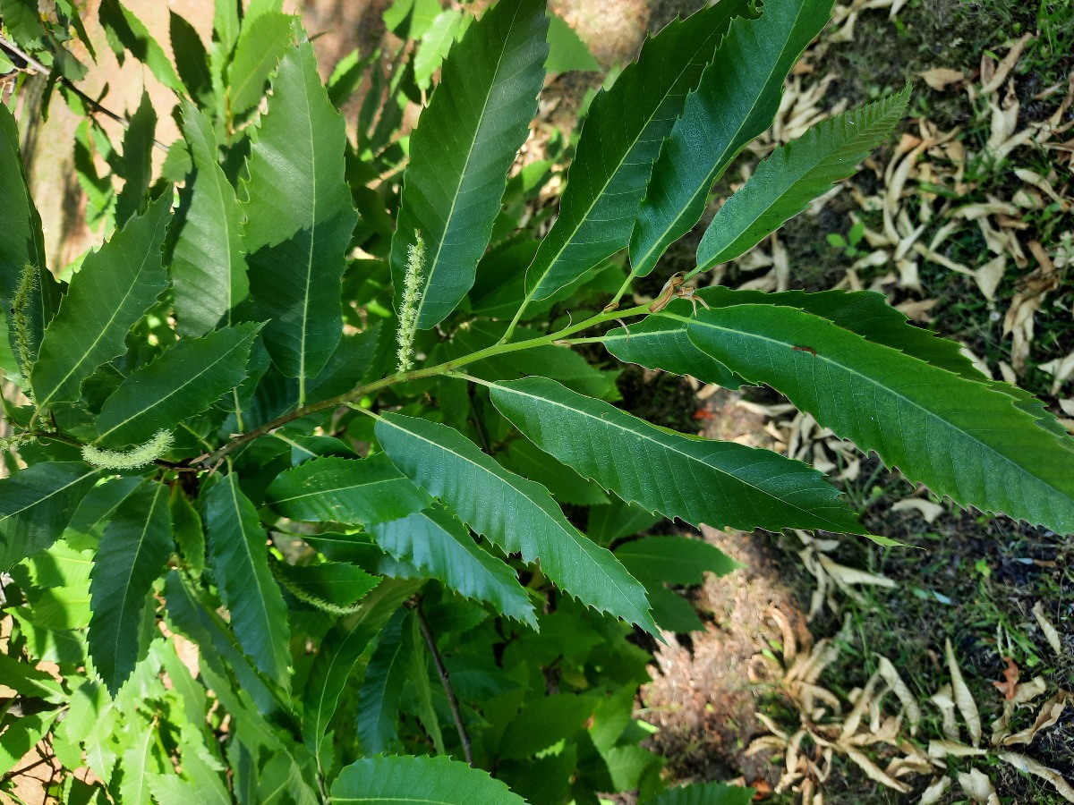 Coś Się Kończy i Coś Się Zaczyna / Wiadomości